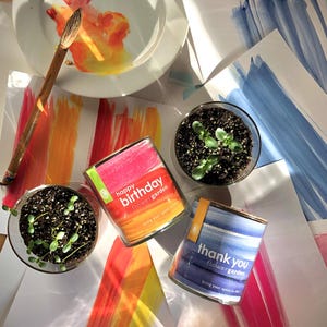 Happy Birthday Essential Flower Garden Easy to Grow, Dwarf Zinnia ...