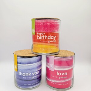 Happy Birthday Essential Flower Garden Easy to Grow, Dwarf Zinnia ...