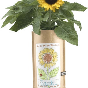 Kids Sunflower Garden-in-a-bag | Self Contained Dwarf Sunflower Grow ...