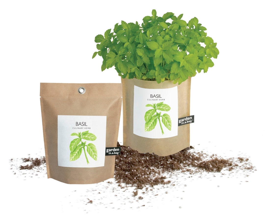 Basil Garden in a Bag | Self Contained Plant – Eco Friendly - Basil ...