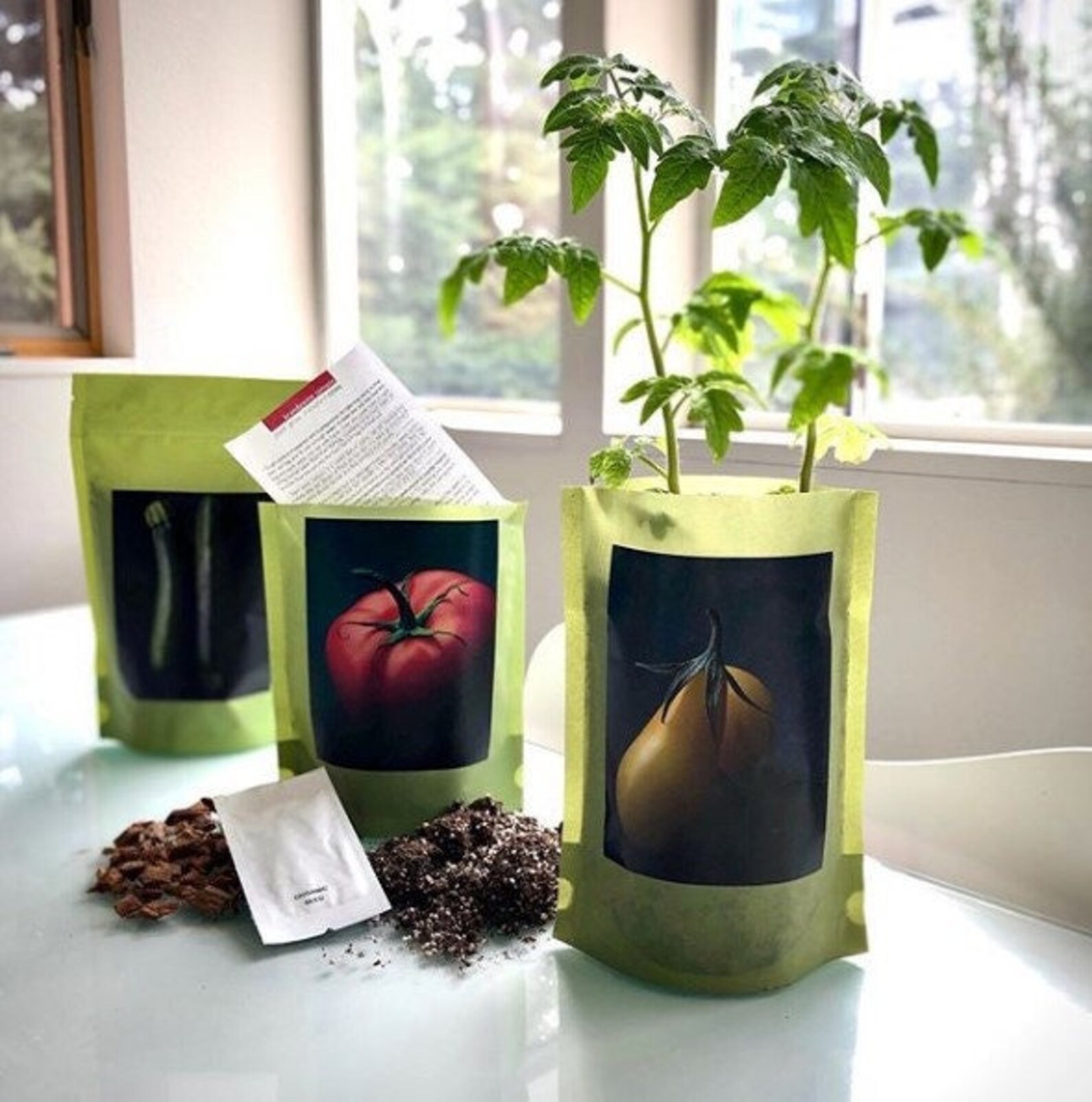 Red Tomato Seed Start Self Contained Brandywine Tomato Grow Kit Easy ...