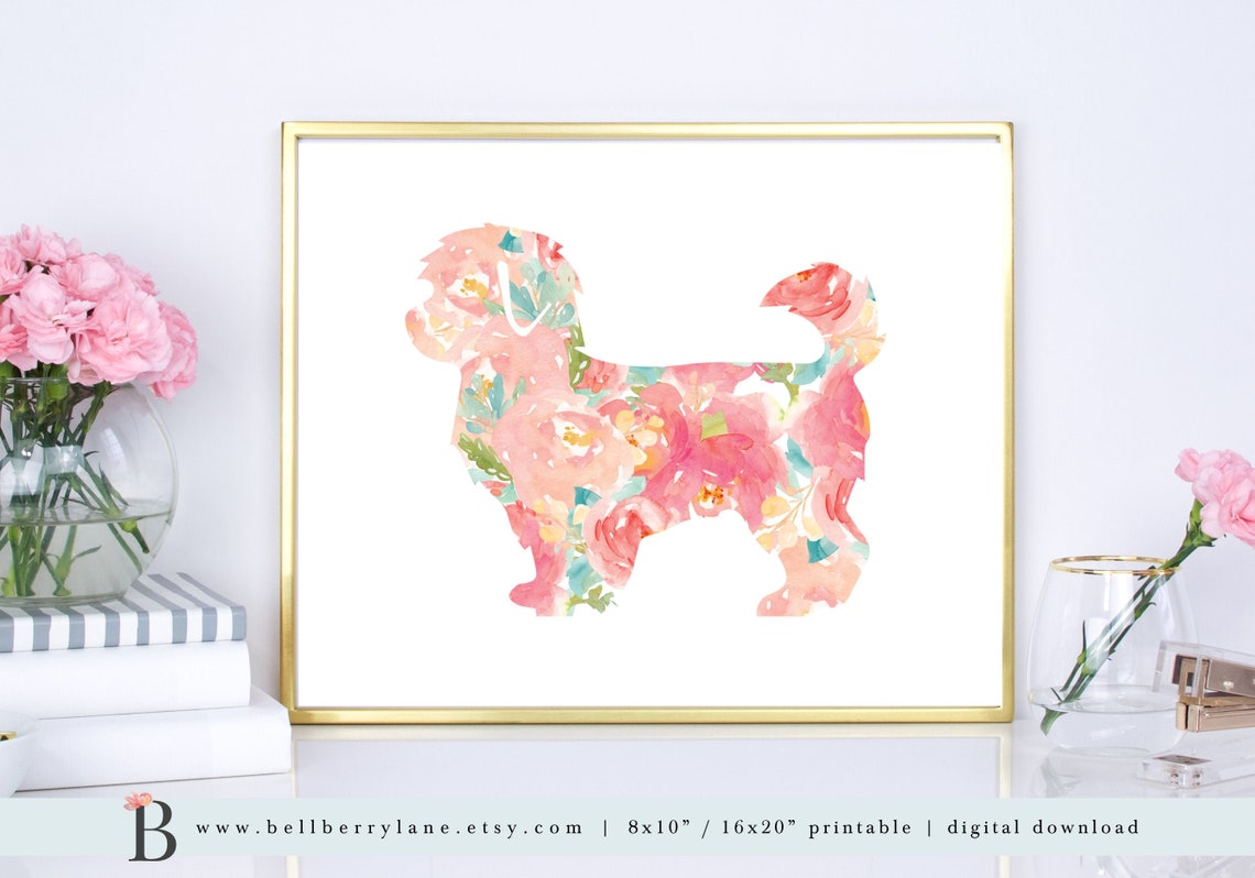 Maltipoo Print Matipoo Printable Maltipoo Dog Art Maltese - Etsy