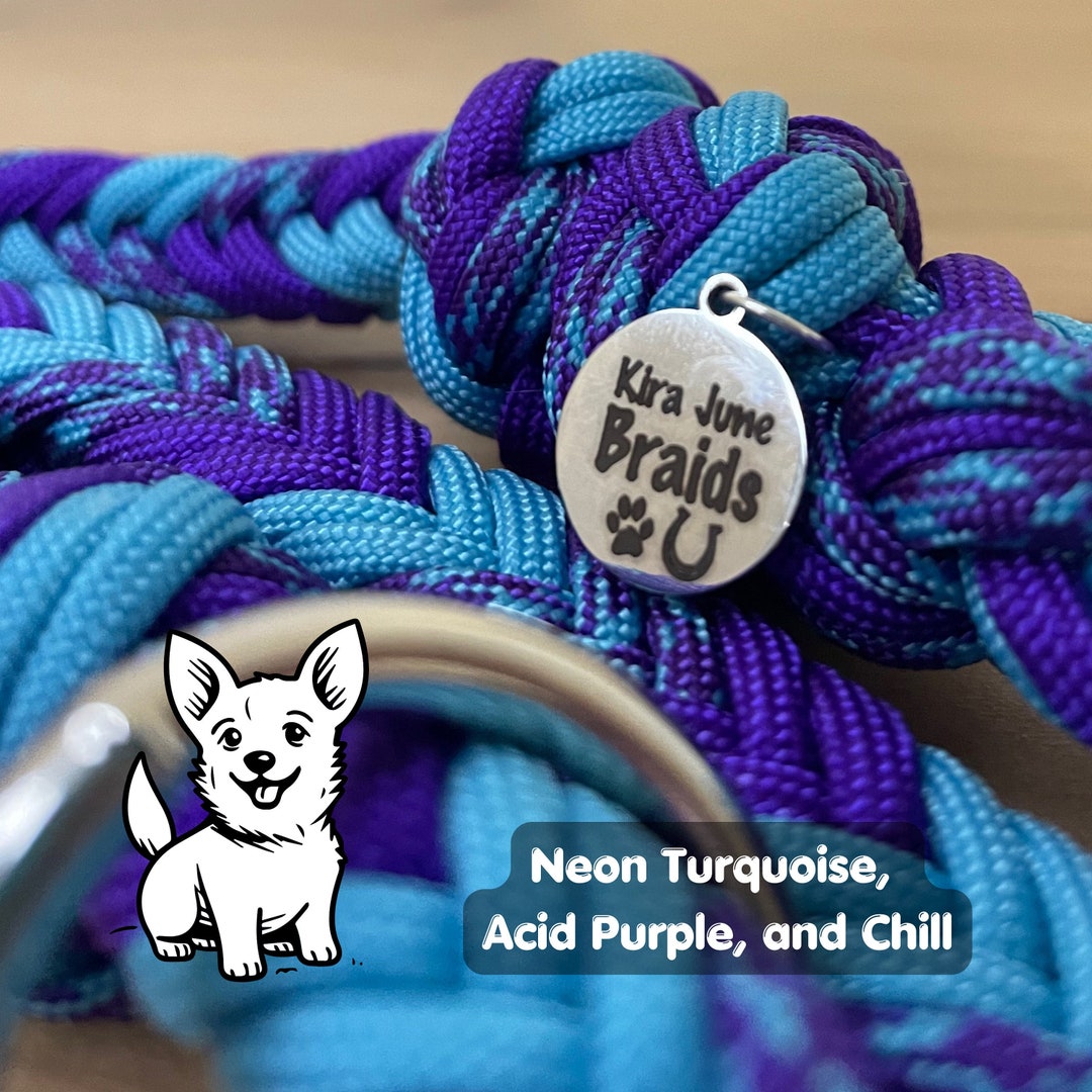 Custom Slip Leash, Paracord Slip Lead, Durable Dog Leash, Braided Dog ...