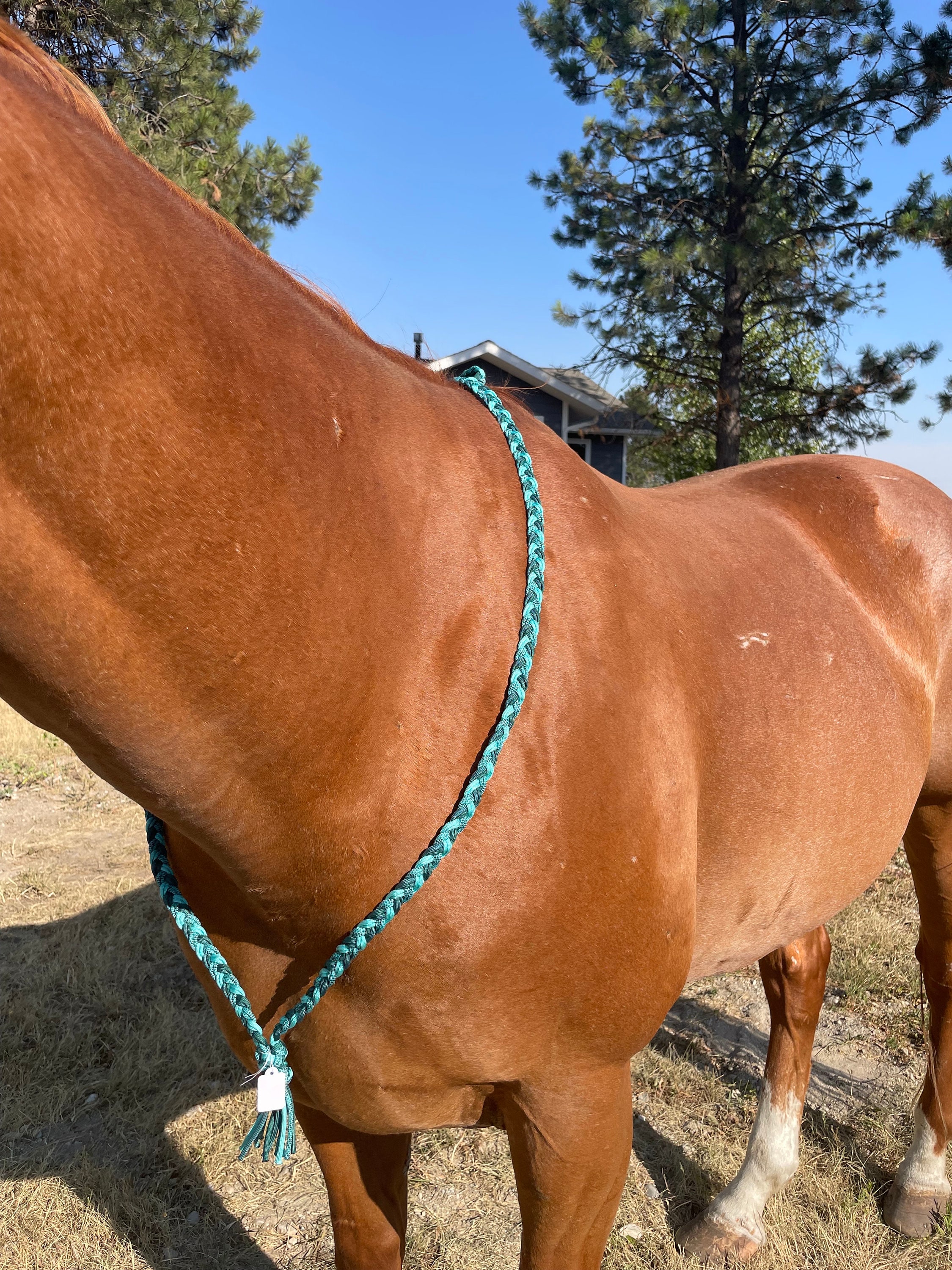 Blue Neck Rope, Neck Rope, Horse Neck Rope, Paracord Neck Rope, Liberty ...