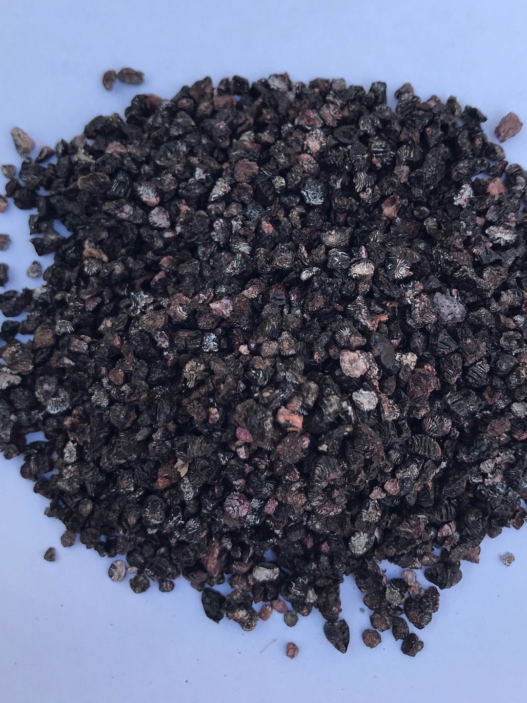 Cochineal Dye/ Natural Dye/ Cochineal Whole Bug - Etsy