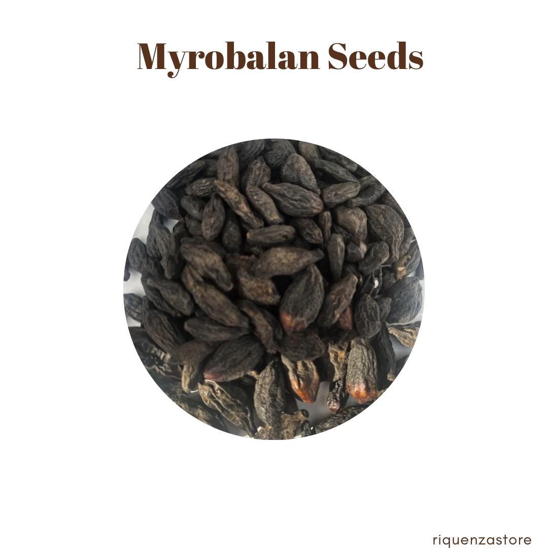Myrobalan Seeds, Chebula/ Haritaki Seeds/myrobalan Fruits - Etsy