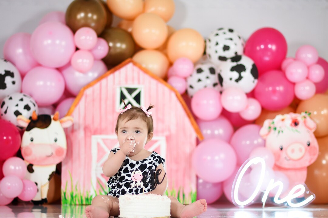 DIGITAL BACKDROP / Cake Smash / BACKDROP Photography - Etsy