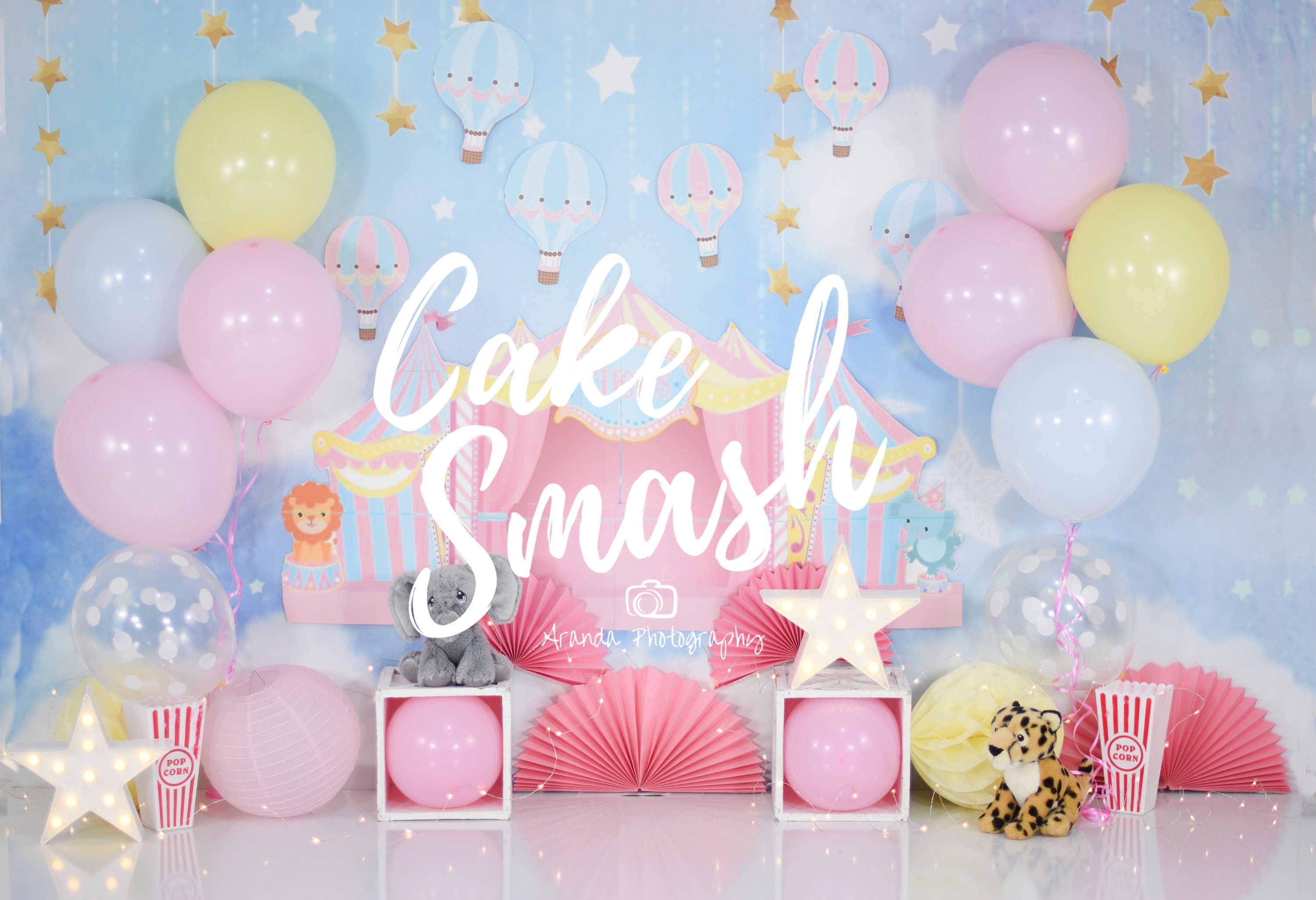 DIGITAL BACKDROP / Cake Smash / BACKDROP Photography - Etsy