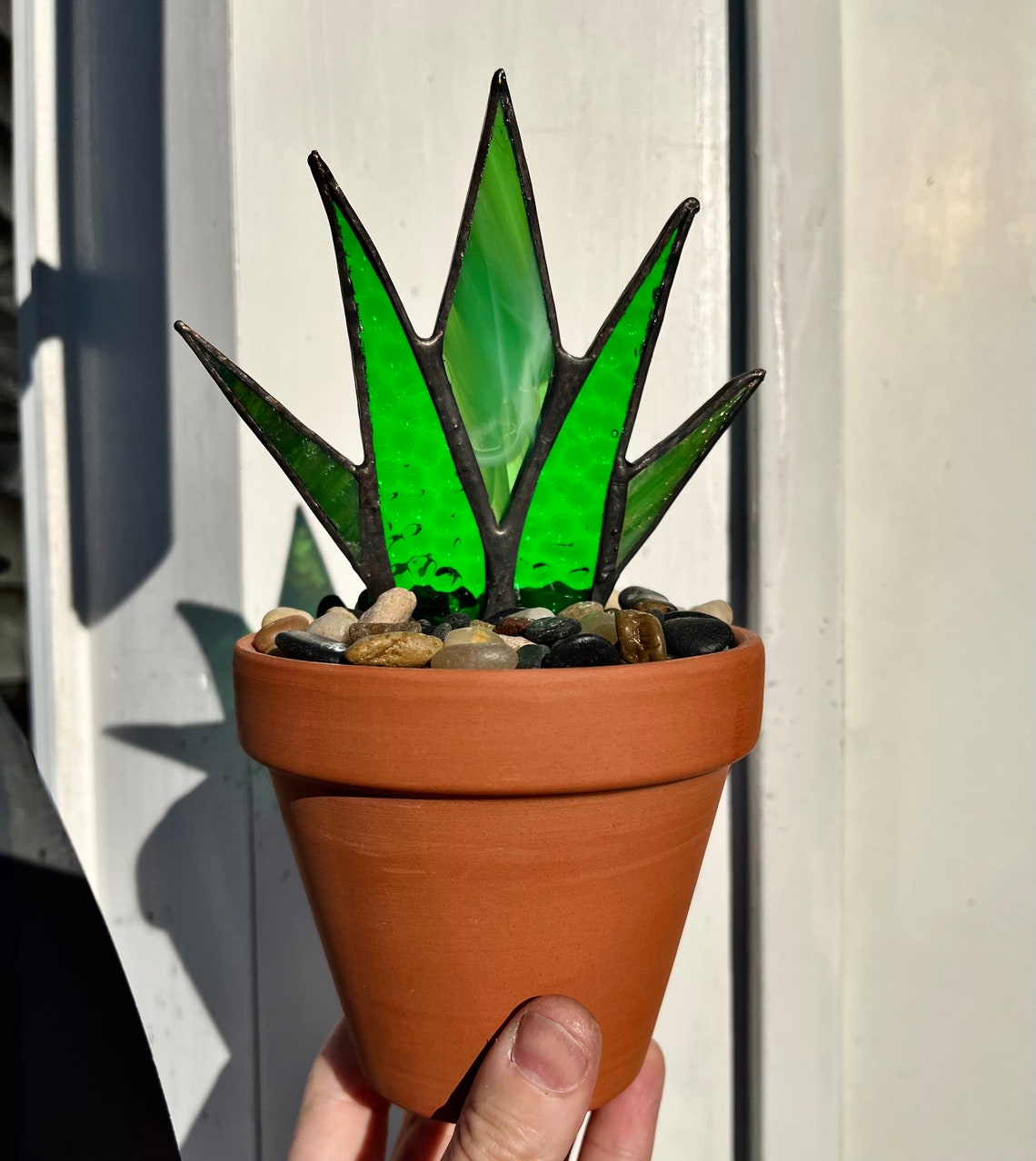 Stained Glass spiky Agave Aloe Potted Plant in - Etsy