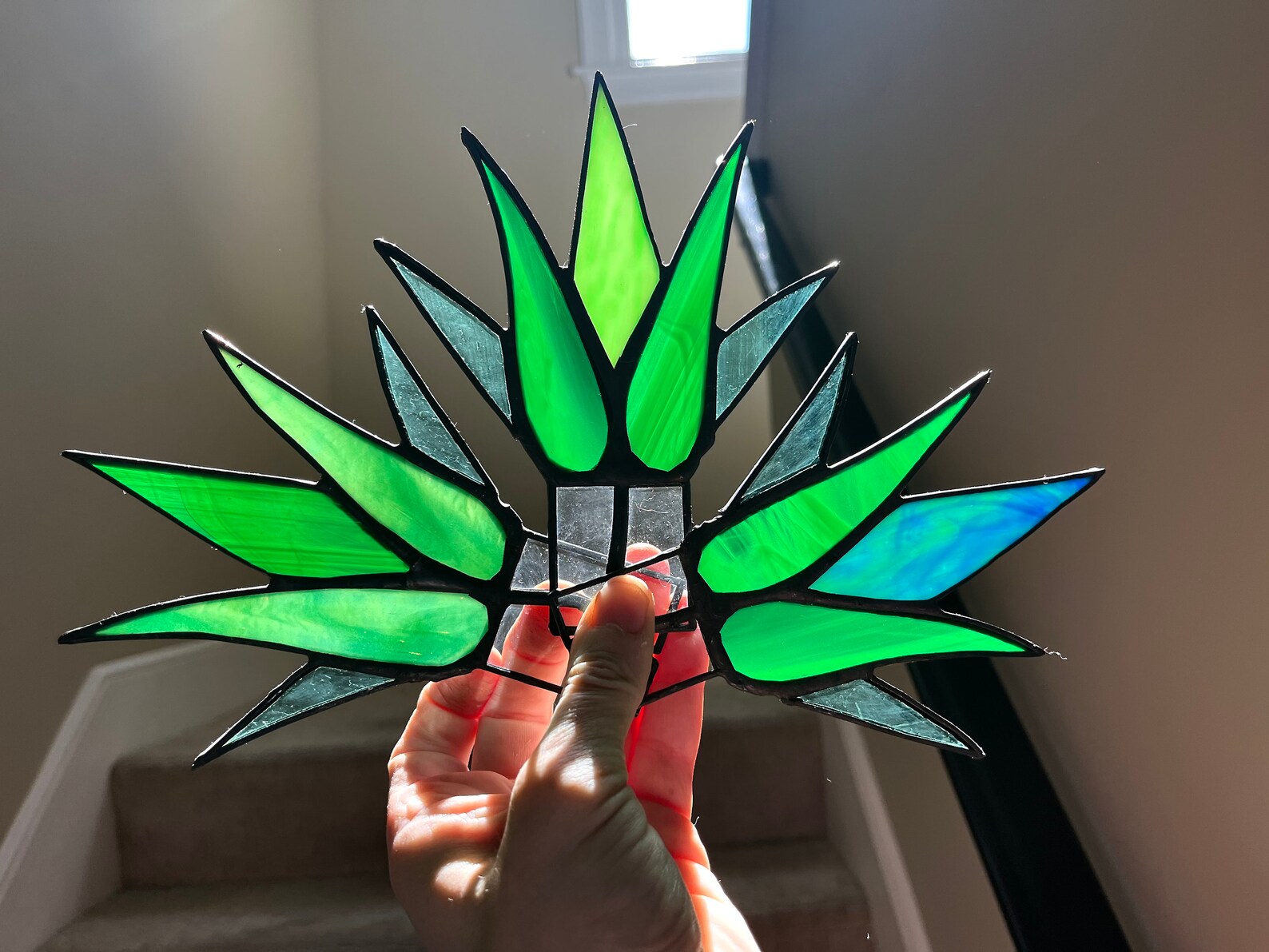 Stained Glass Agave "spiky" Aloe PLANT ONLY | Stained Stain Glass Agave ...