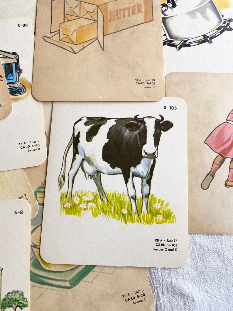 1950s Picture Cards Vocabulary Cards Vintage Set of 5 - Etsy