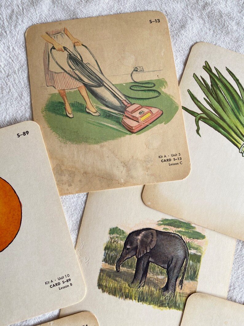 1950s Picture Cards Vocabulary Cards Vintage Set of 5 - Etsy