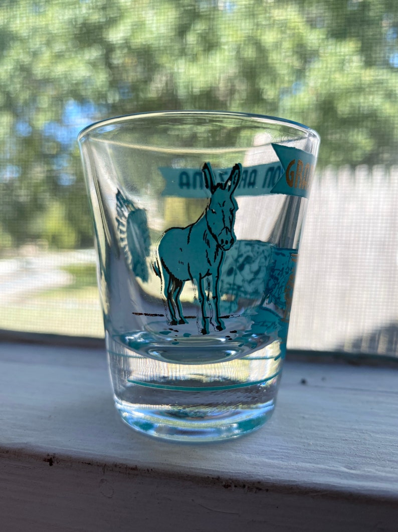 Vintage 1950s Grand Canyon Arizona Souvenir Shot Glass - Etsy