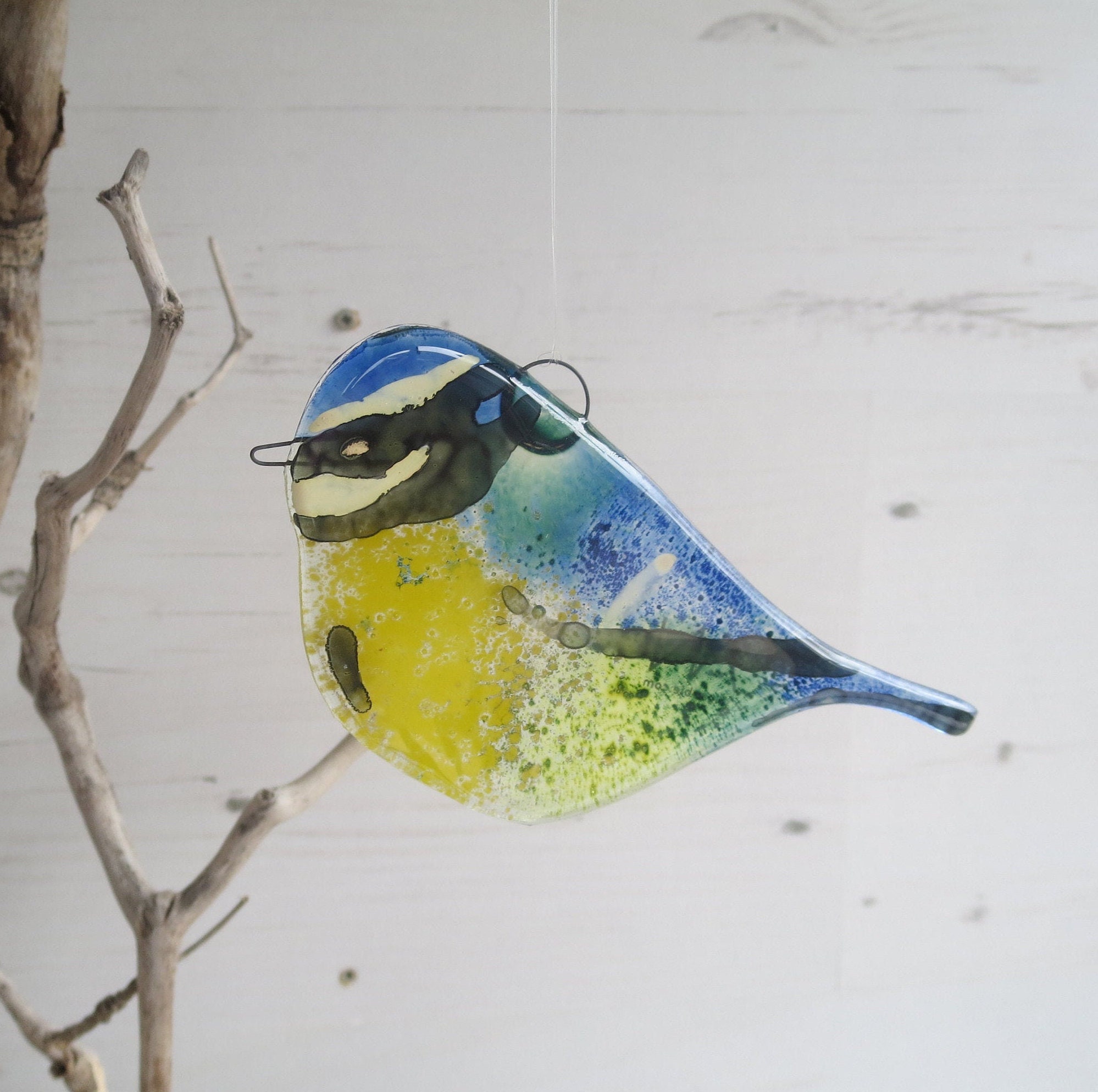 Blue Tit Garden Bird Side View Fused Glass Hanging Sun | Etsy UK