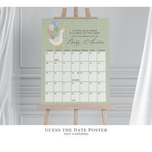 Green Floral Silly Goose Baby Shower Bundle Printable Template, Little ...