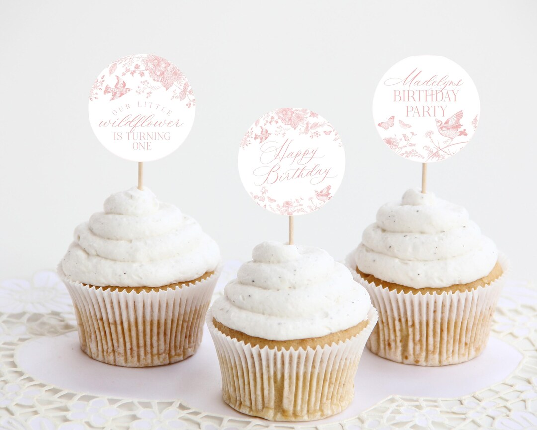 Birthday Cupcake Toppers Pink Toile, French Country Cupcake Picks ...