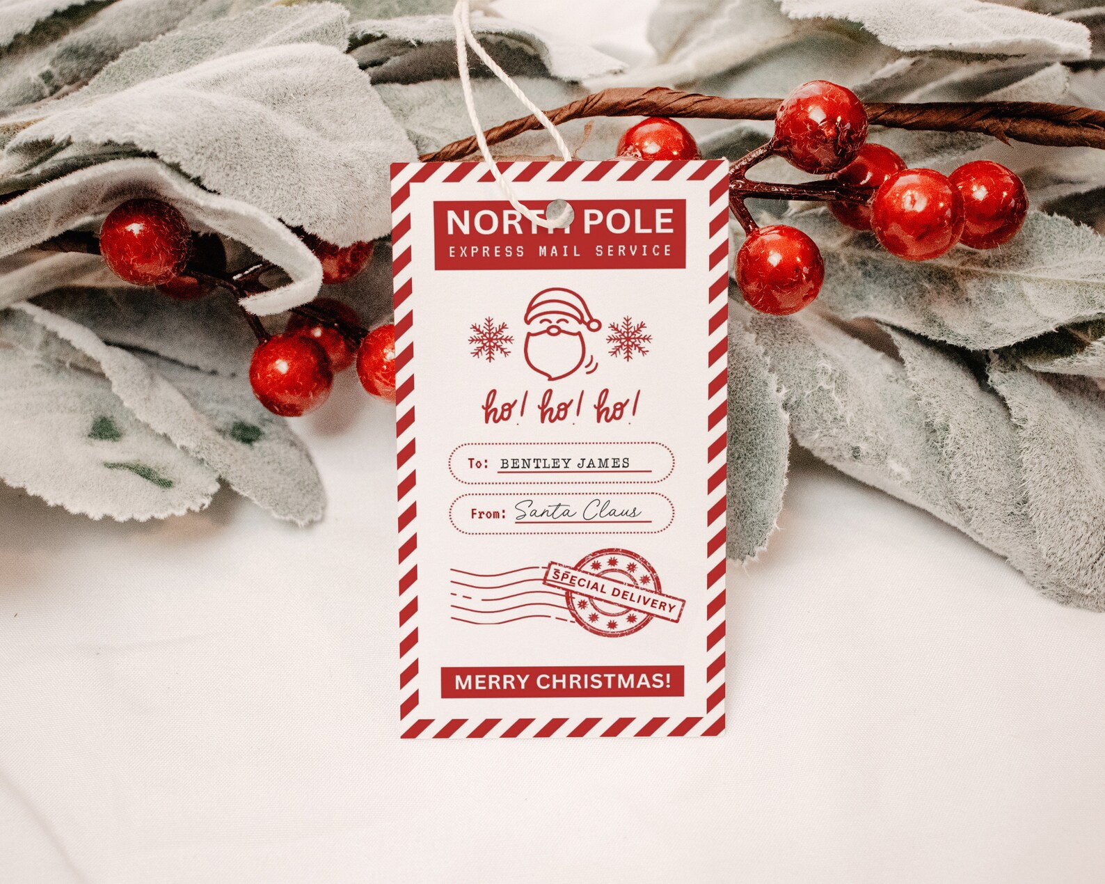 Special Delivery From Santa North Pole Gift Tag Printable, Instant ...