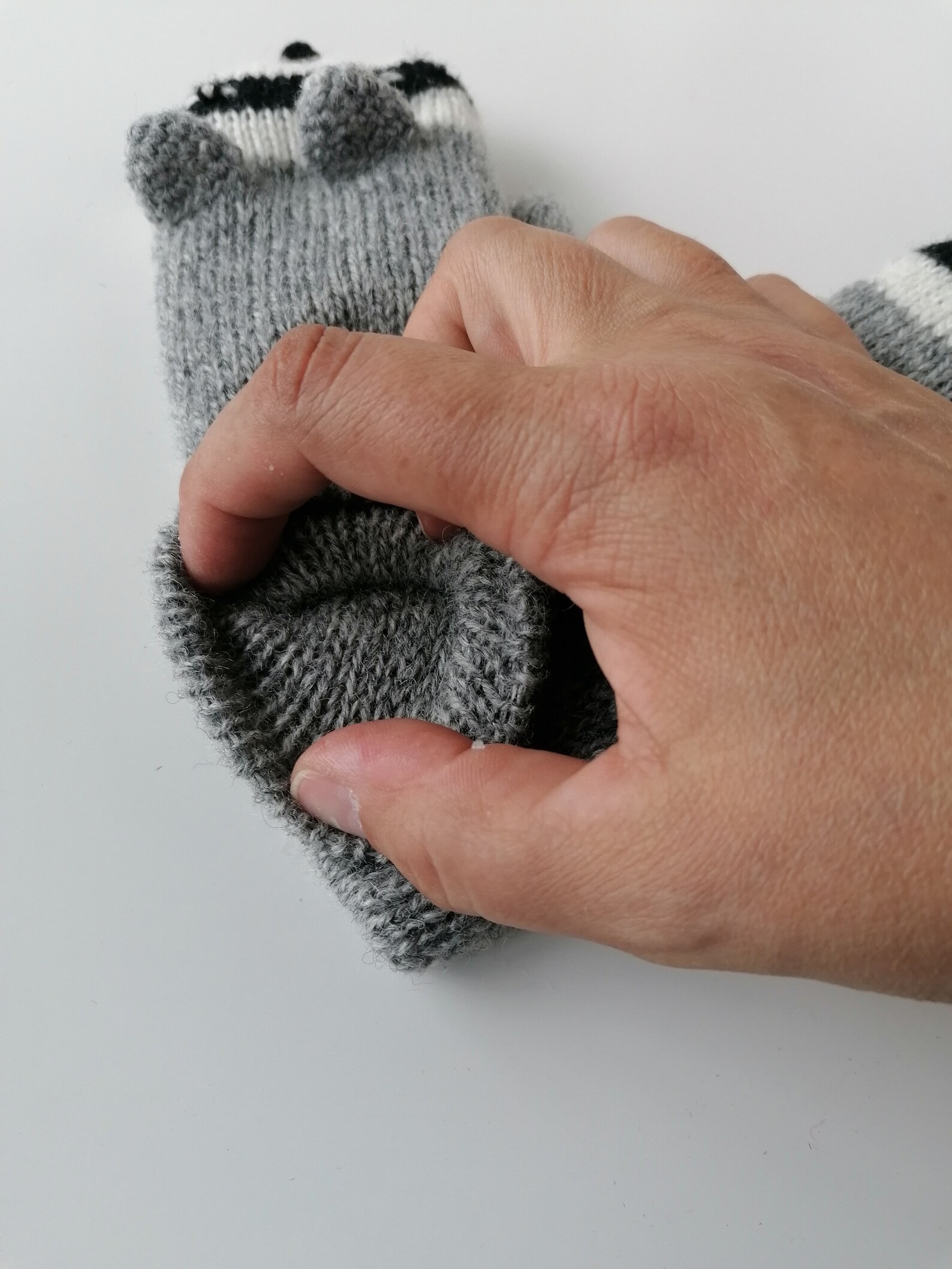 Raccoon Mittens: Lambswool Children's Puppet Mittens in a Winter Time ...