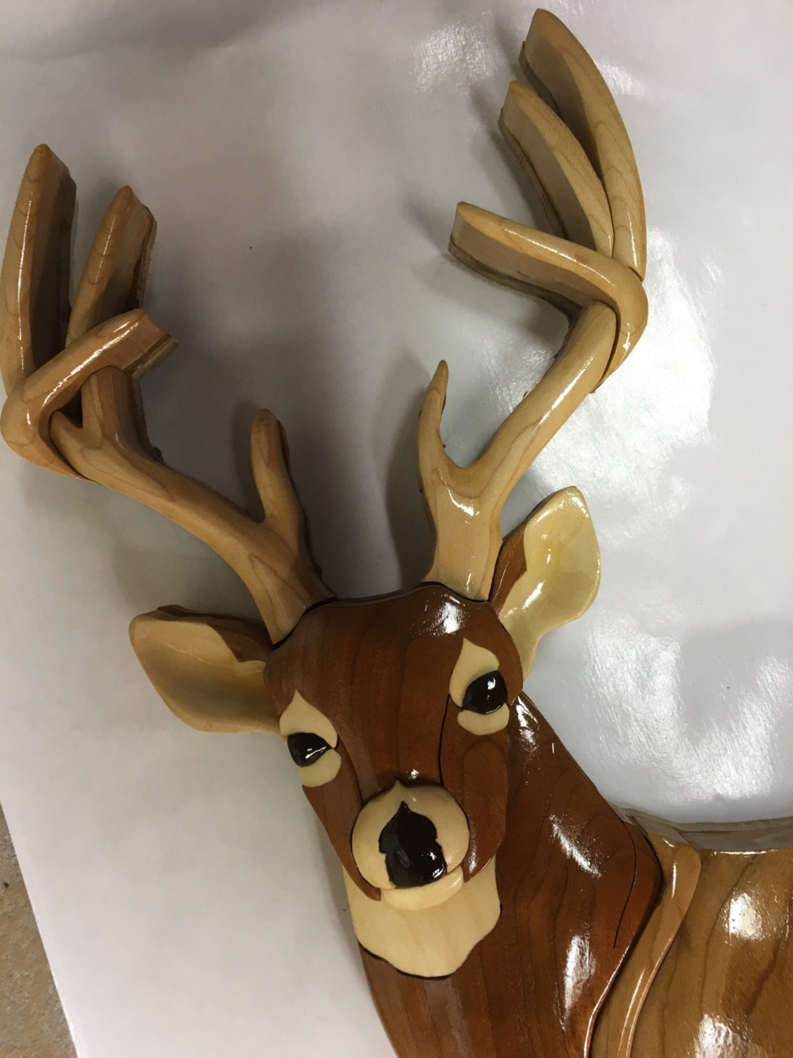 Whitetail Deer Intarsia - Etsy