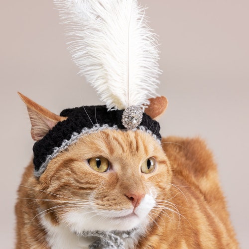 Apple Hat for Cat Halloween Apple Pet Costume Kitten Outfit | Etsy