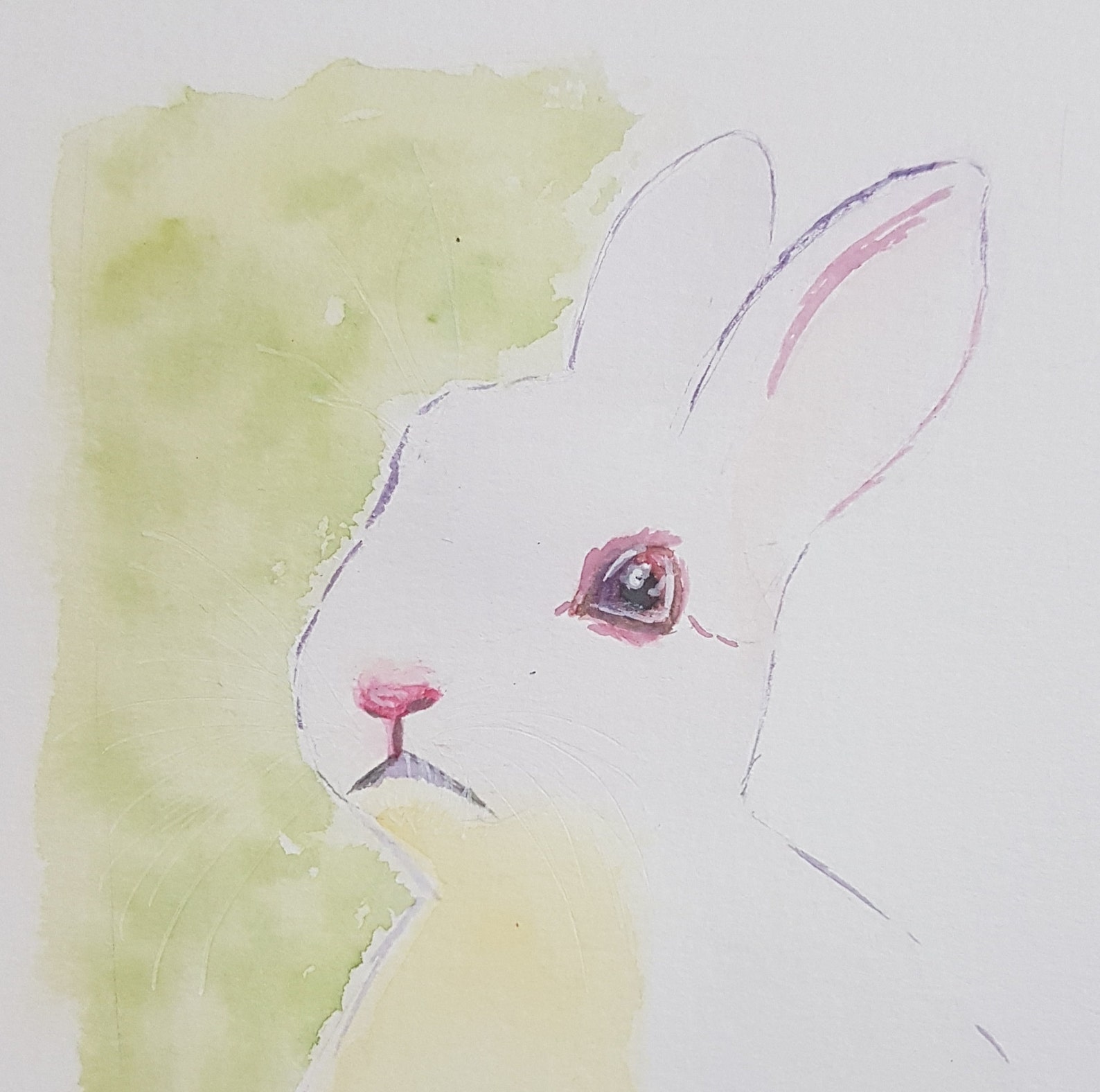 White Rabbit Watercolor Painting Handpainted Rabbit Animal Art Original ...