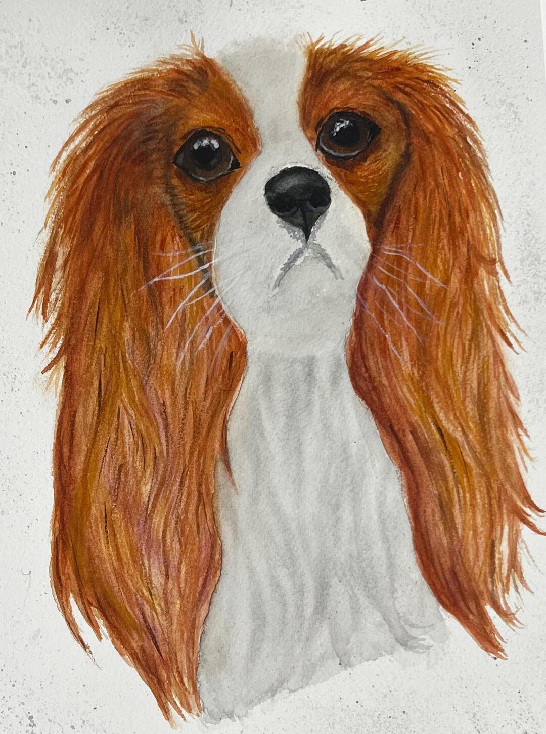 Cavalier King Charles Watercolour Painting Cavalier King Charles ...