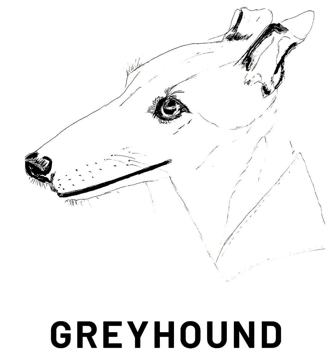 Greyhound Artwork Print A4 Greyhound Home Decor Dog Lover Gift ...