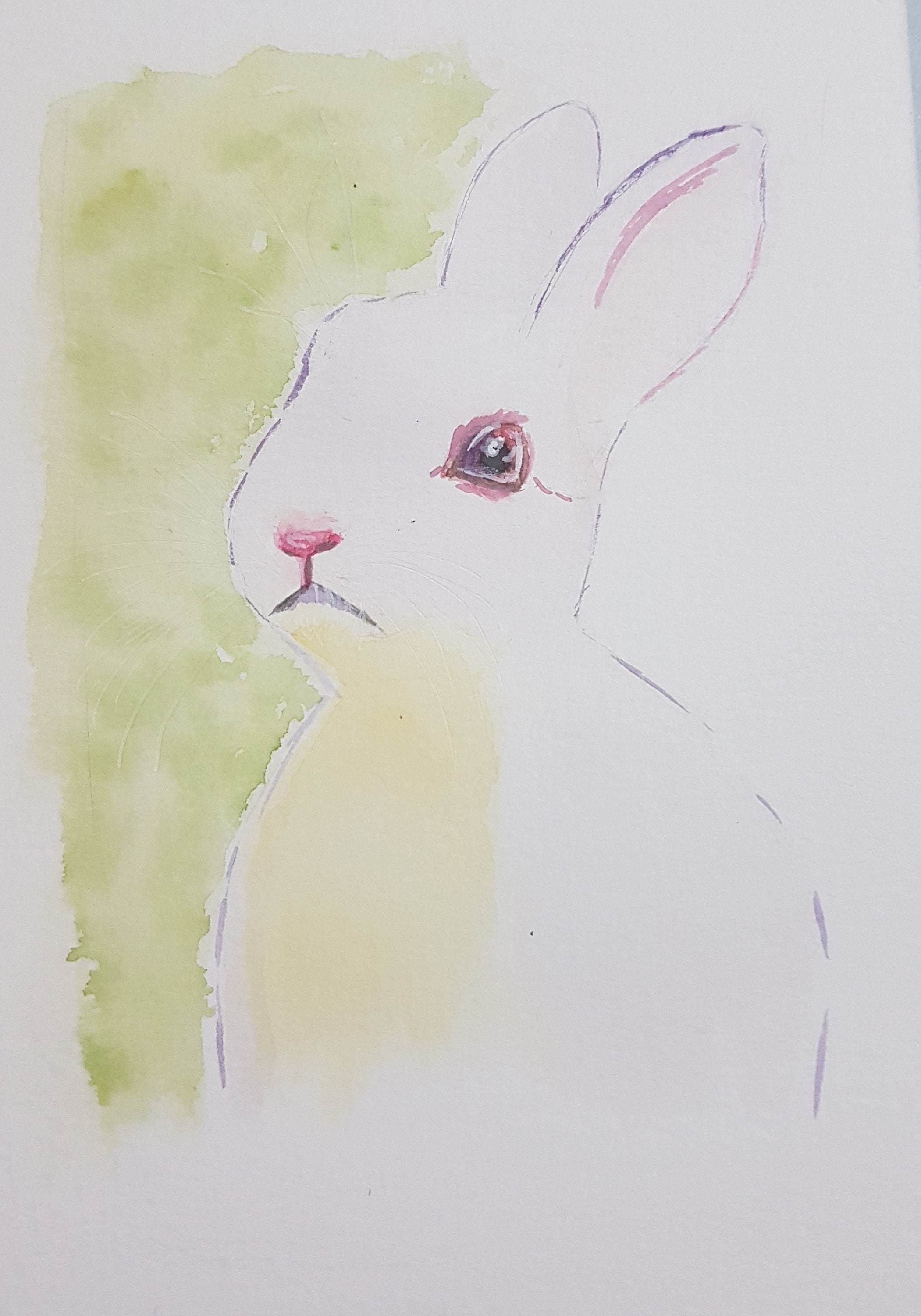 White Rabbit Watercolor Painting Handpainted Rabbit Animal Art Original ...