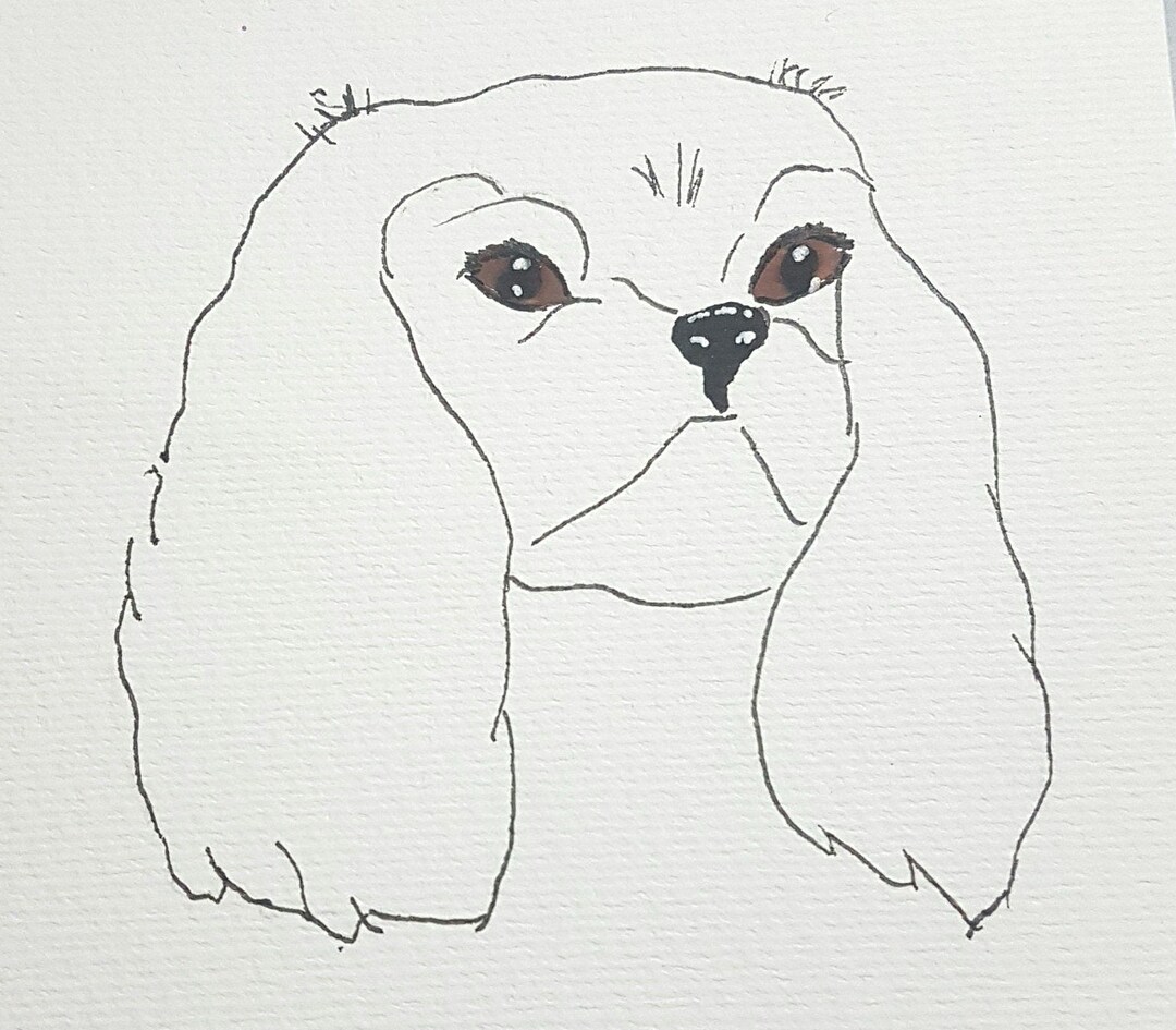 Cavalier King Charles Line Art, Line Art, Cavalier Art, Cavvy Art ...