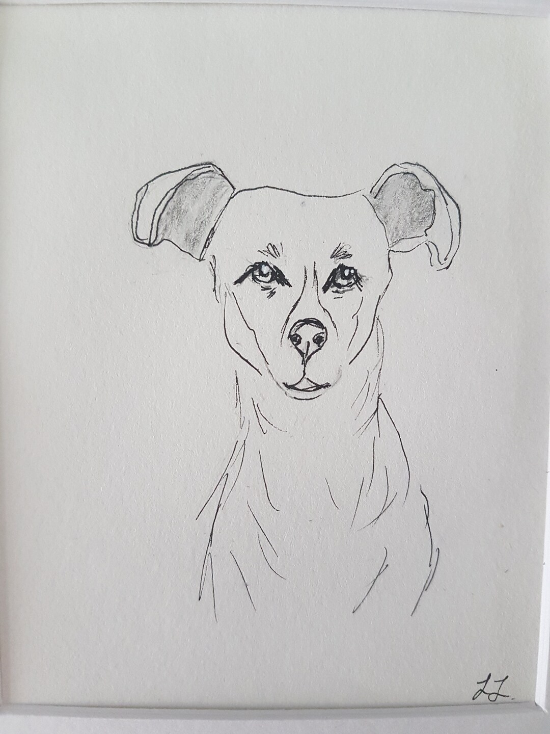 Jack Russell Lineart, Jack Russell Pen Drawing, Jack Russel Ink Art ...