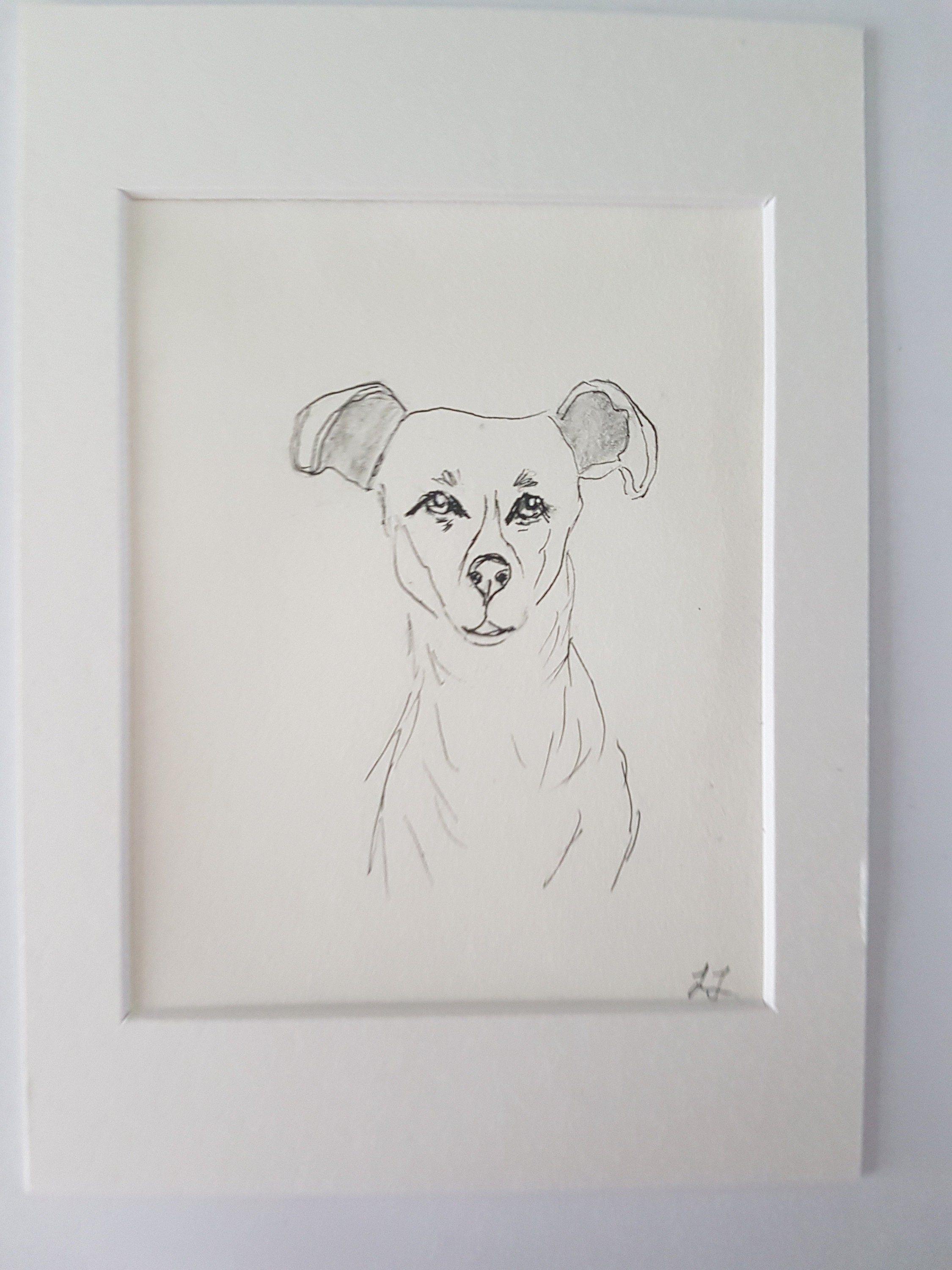 Jack Russell Lineart, Jack Russell Pen Drawing, Jack Russel Ink Art ...