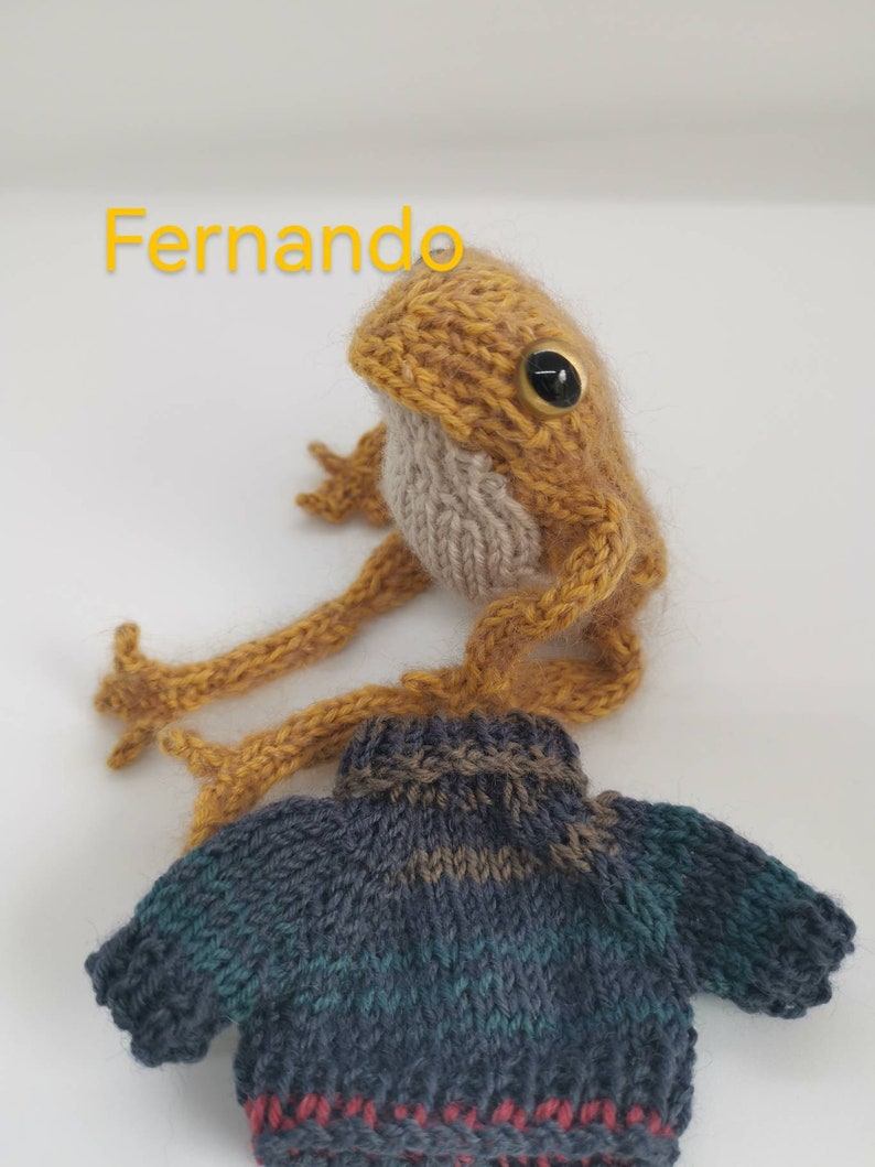 Hand Knitted Frog. With Sweater - Etsy UK