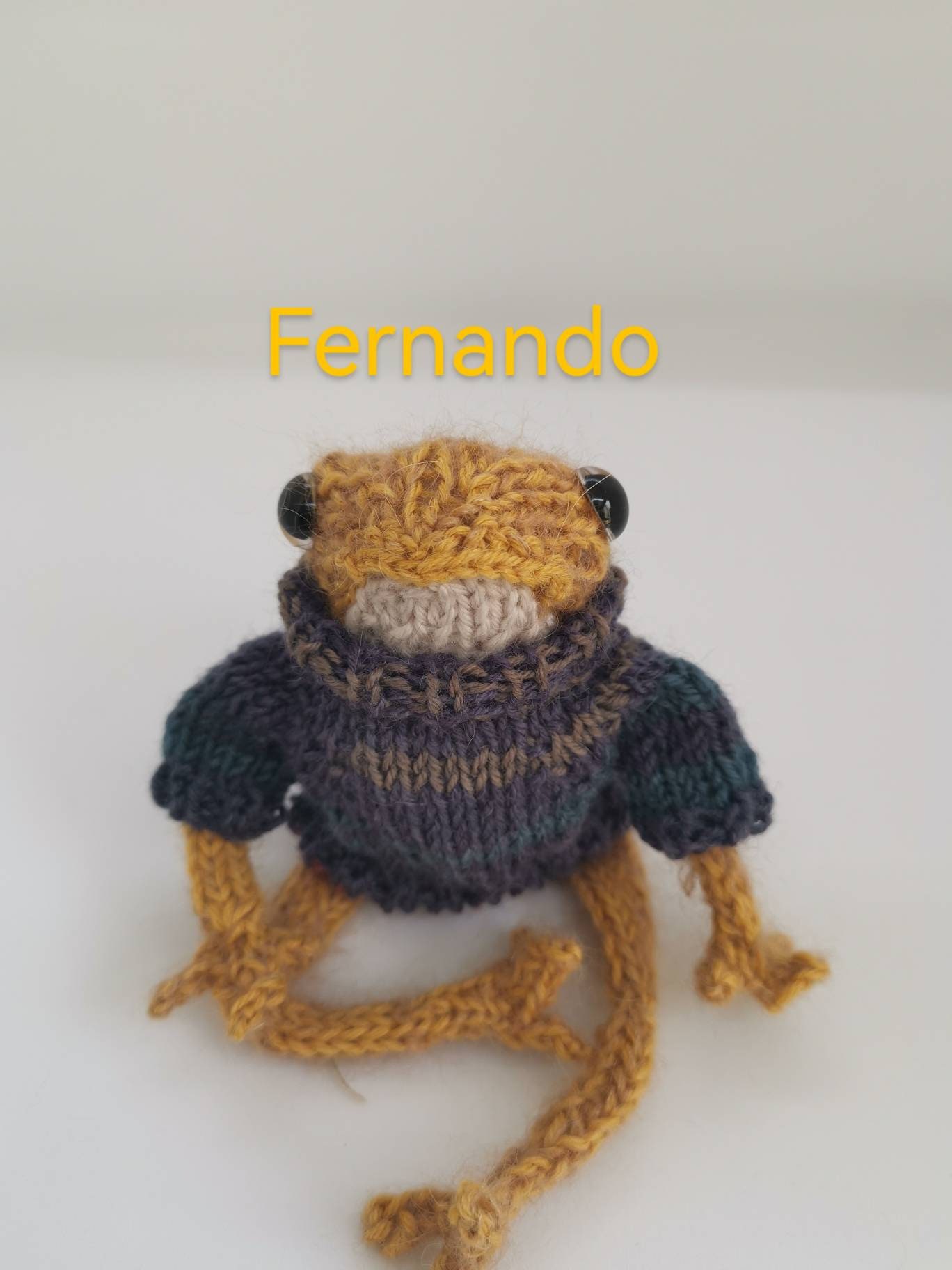 Hand Knitted Frog. With Sweater - Etsy UK