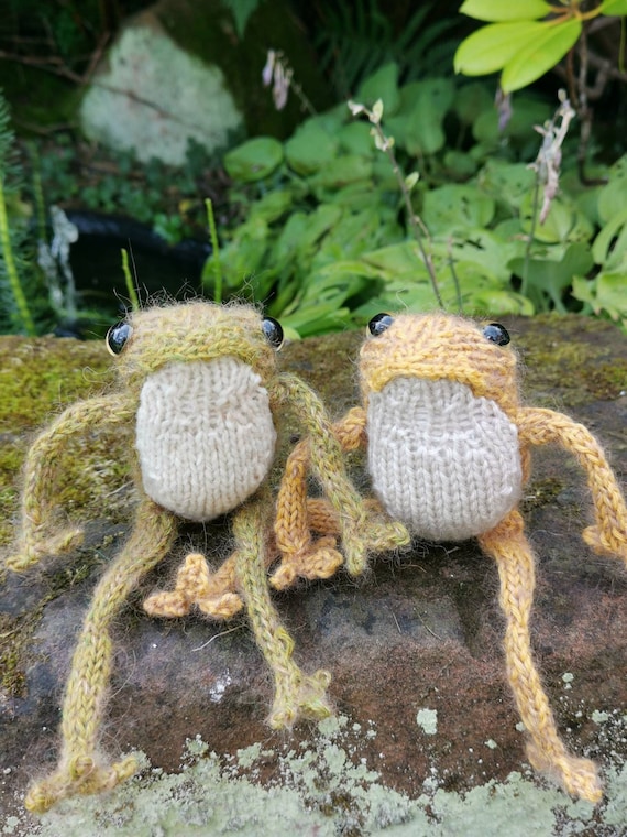 Hand Knitted Frog. With Sweater - Etsy UK