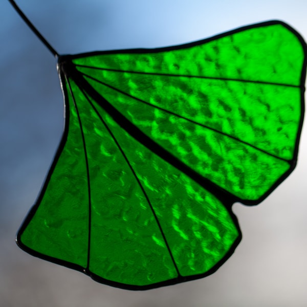 Ginko Leaf Stained Glass Pattern - Etsy