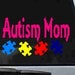 Autism MOM Vinyl Car Decal Autism Decals for Window Autism - Etsy