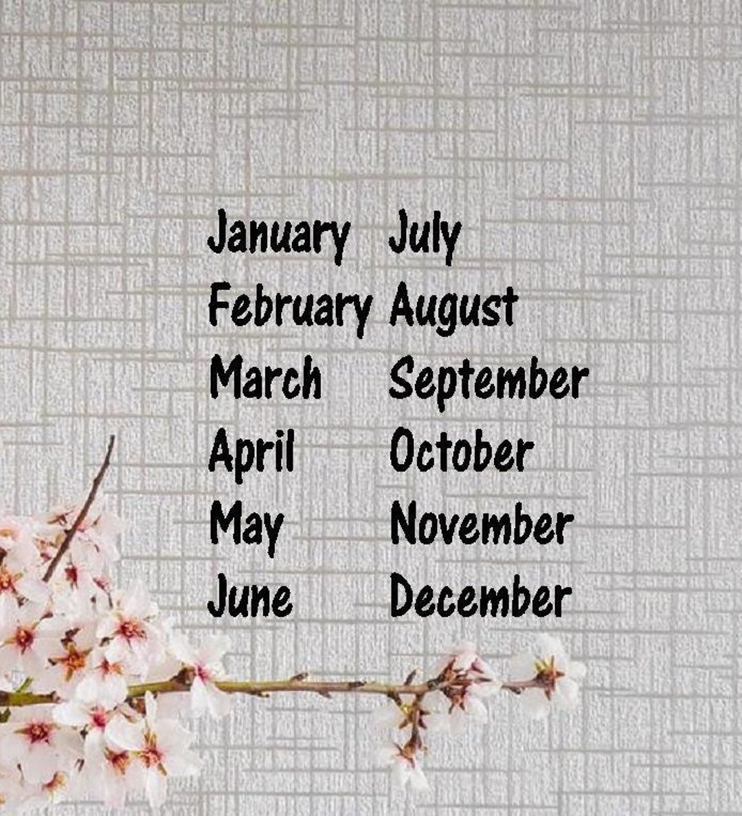 Months of the Year Vinyl Decal ONLY/ School Decals/ Calendar Decals ...