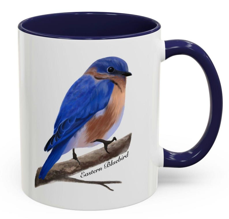 Bluebird, Eastern Bluebird, Bird Lover, Birder, Accent Coffee Mug (11 ...