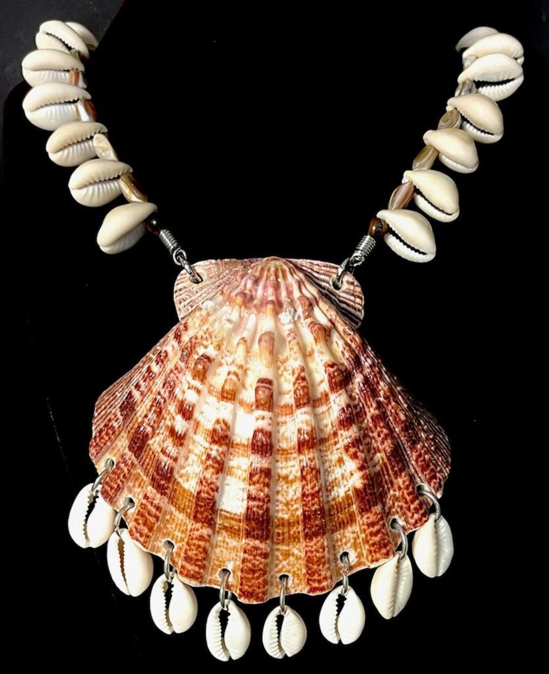Scallop Shell and Cowrie Shell Necklace - Etsy