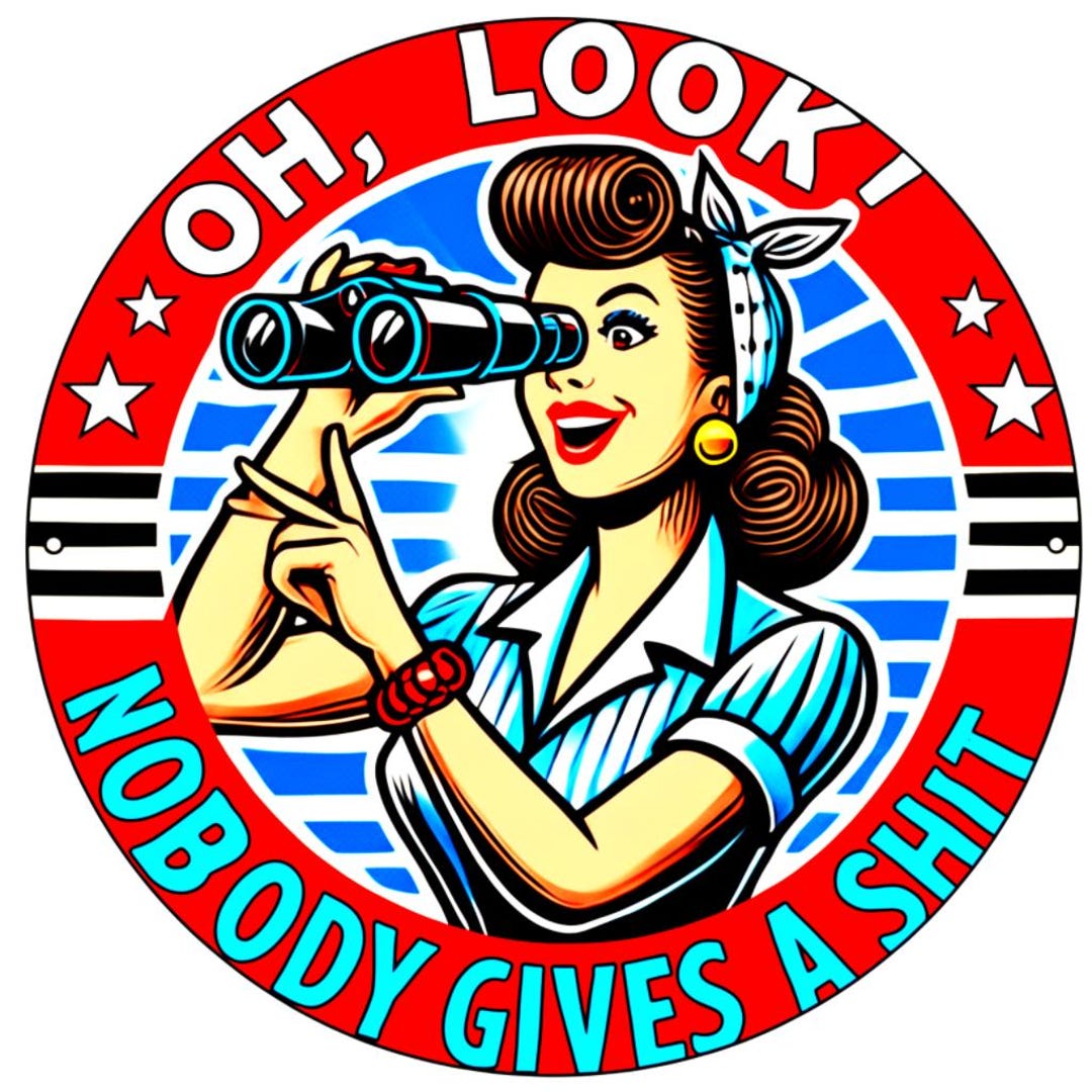Funny Retro Pin up Vinyl Sticker | “oh Look Nobody Gives a Sh*t ...