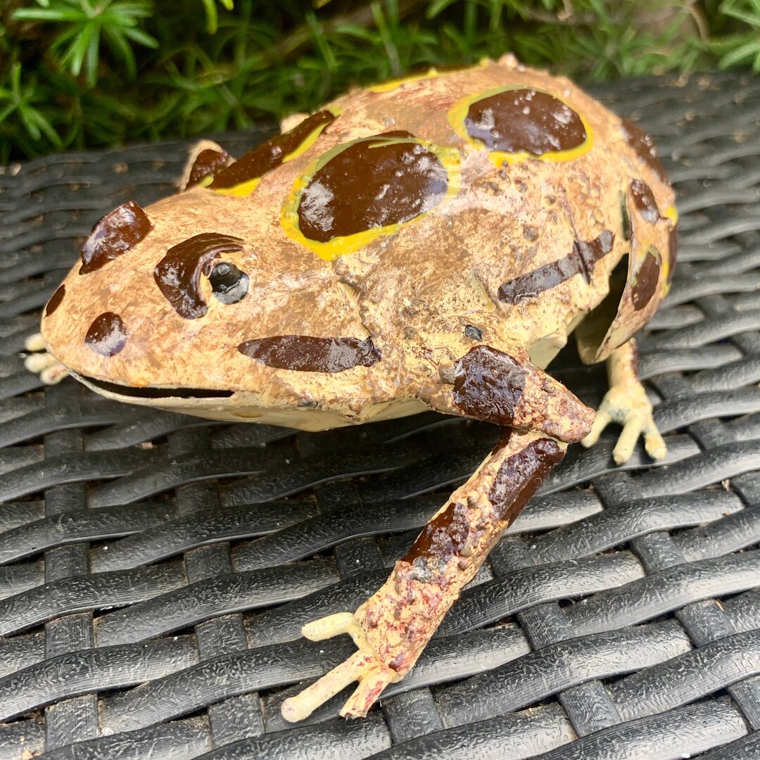 Toad Garden Sculpture: ART082 - Etsy