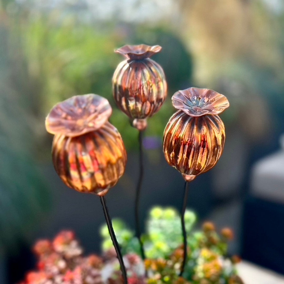 Set of Three Mini Copper Poppy Seedhead Garden Stakes LTZAF174 - Etsy