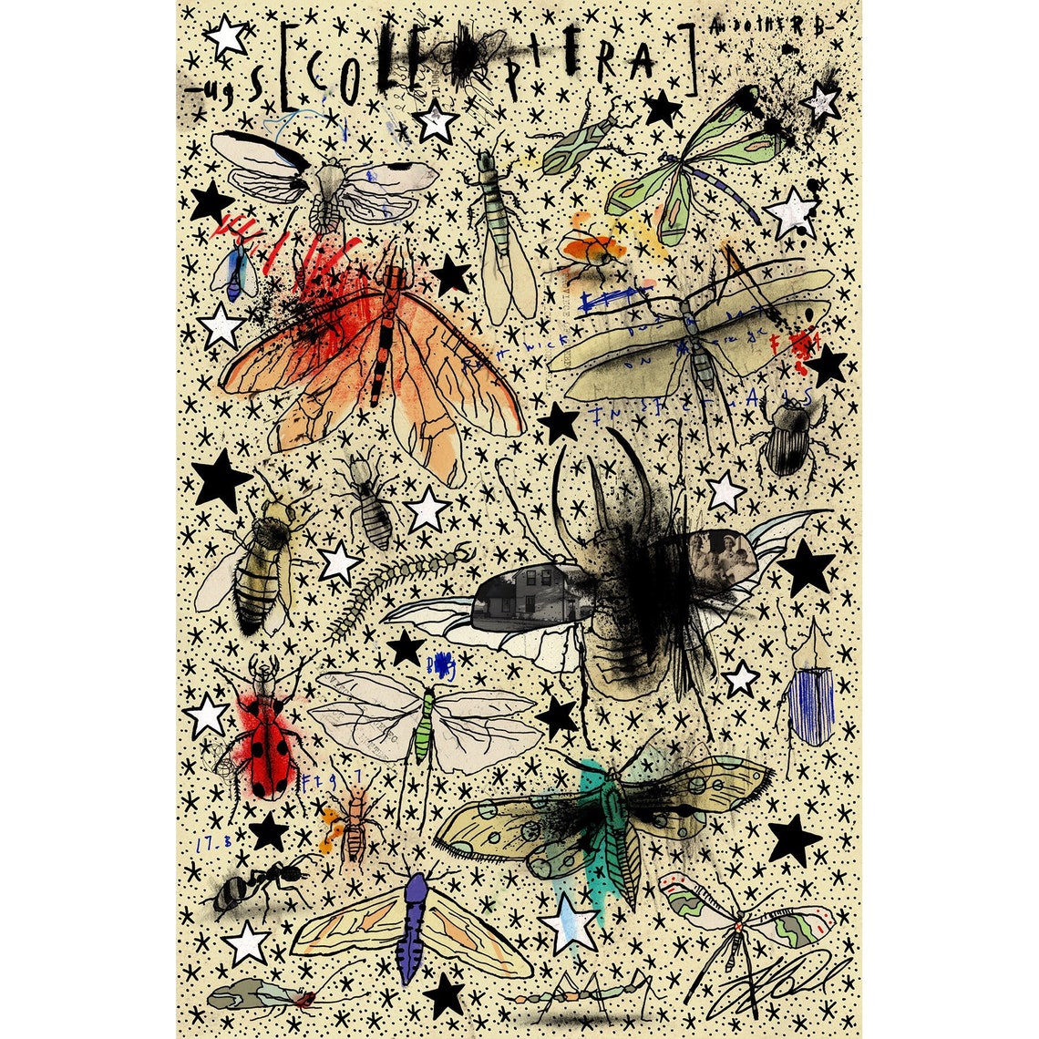 Insect Tattoo Flash Poster Large Fine Art Print | Etsy