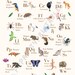 Aussie Animal Poster PRINTABLE - Etsy