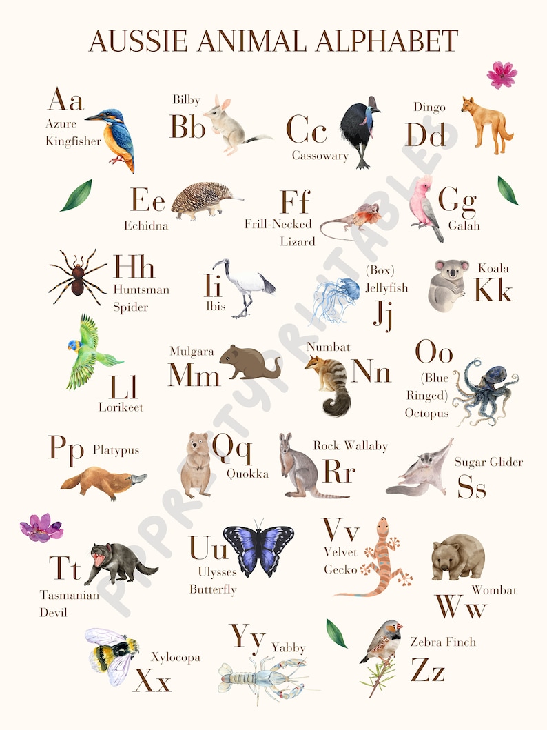 Aussie Animal Poster PRINTABLE - Etsy