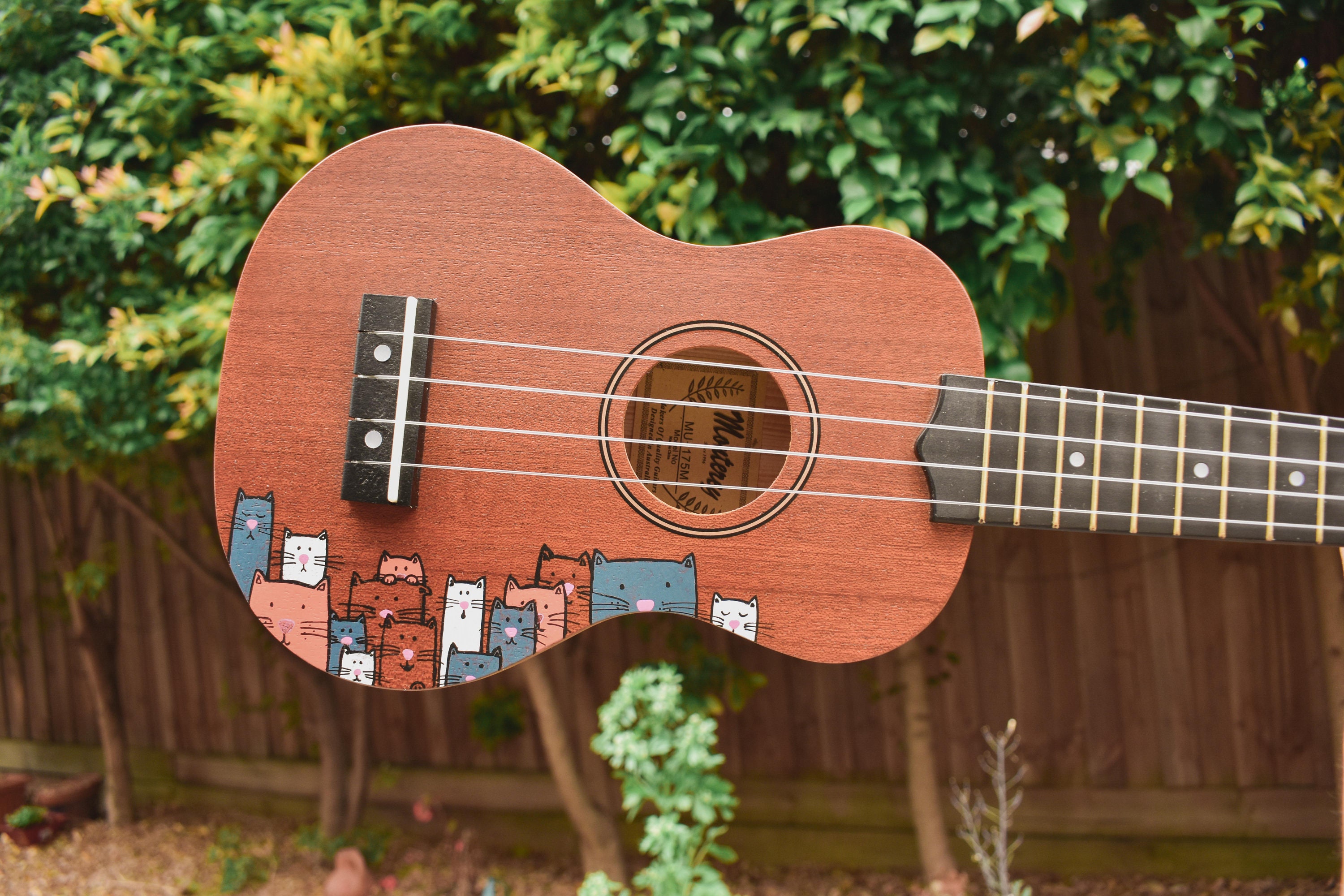 Crazy Cat Lady Ukulele | Hand Painted Ukuleles Personalised by Coral ...