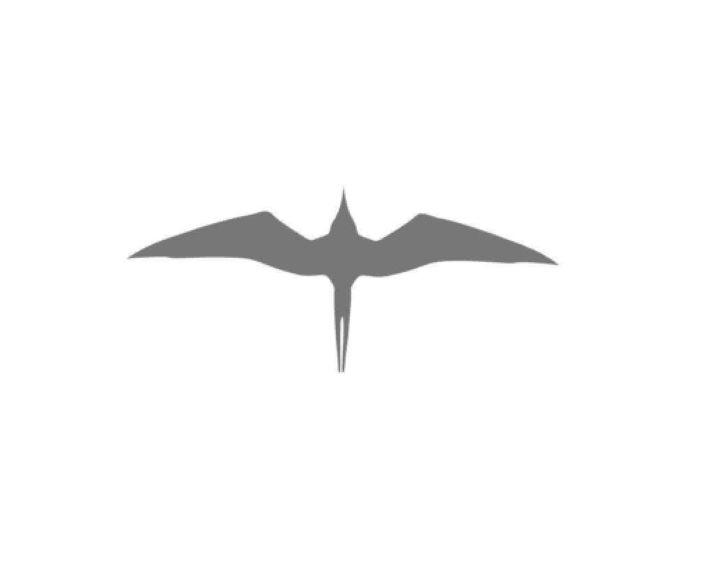 IWA BIRD STICKER - Etsy