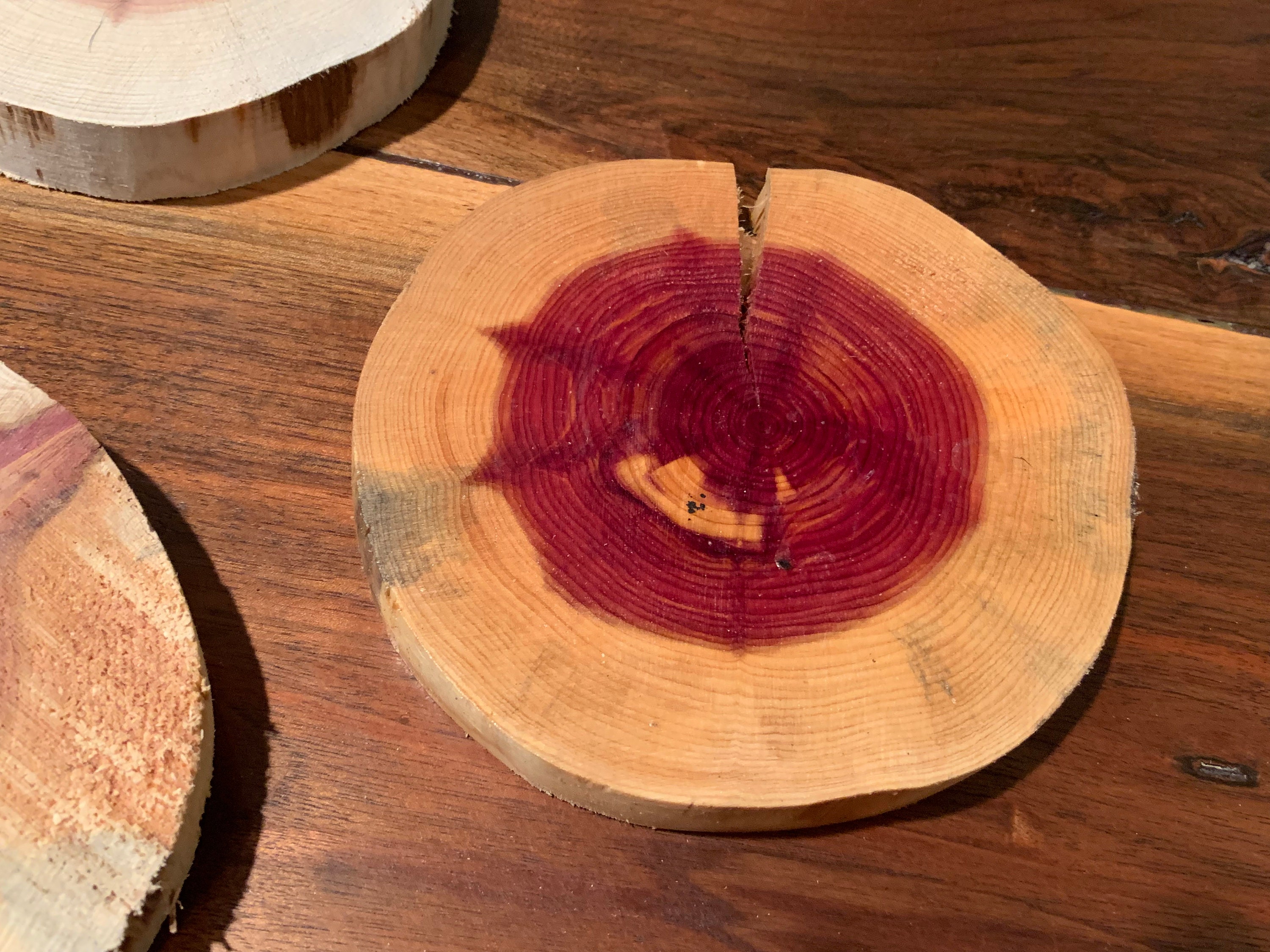 Cedar Rounds Approximately - Etsy