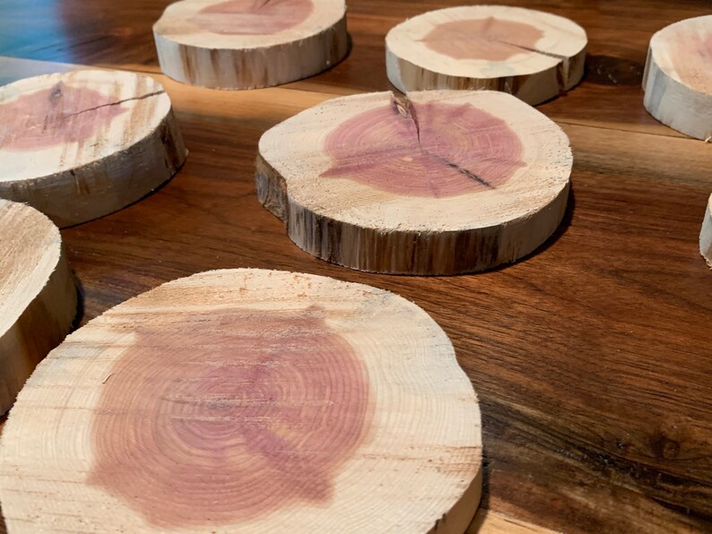 Cedar Rounds Approximately - Etsy