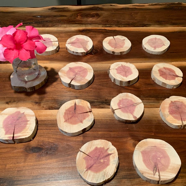 Cedar Rounds - Etsy